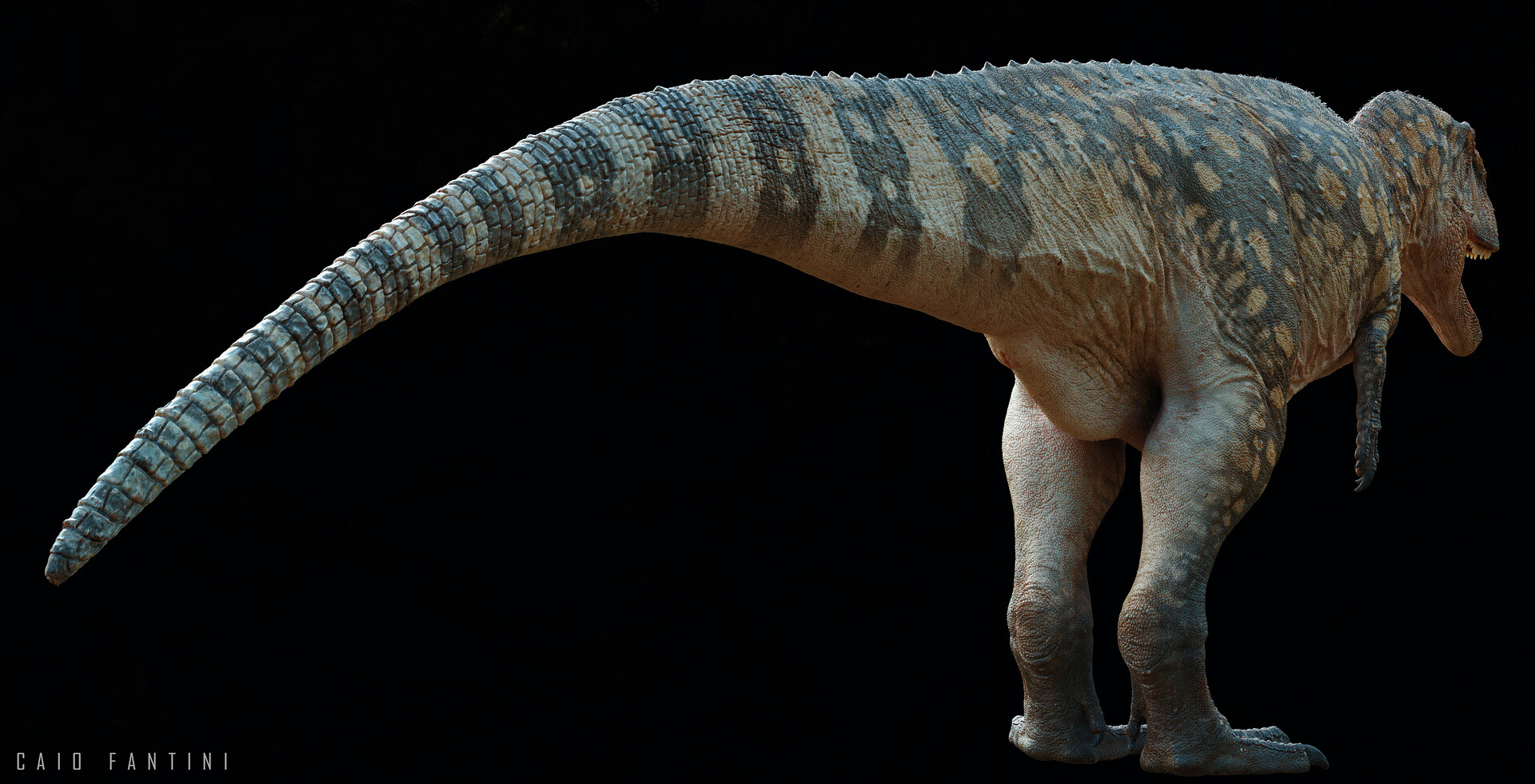 Caio Fantini - Mapusaurus