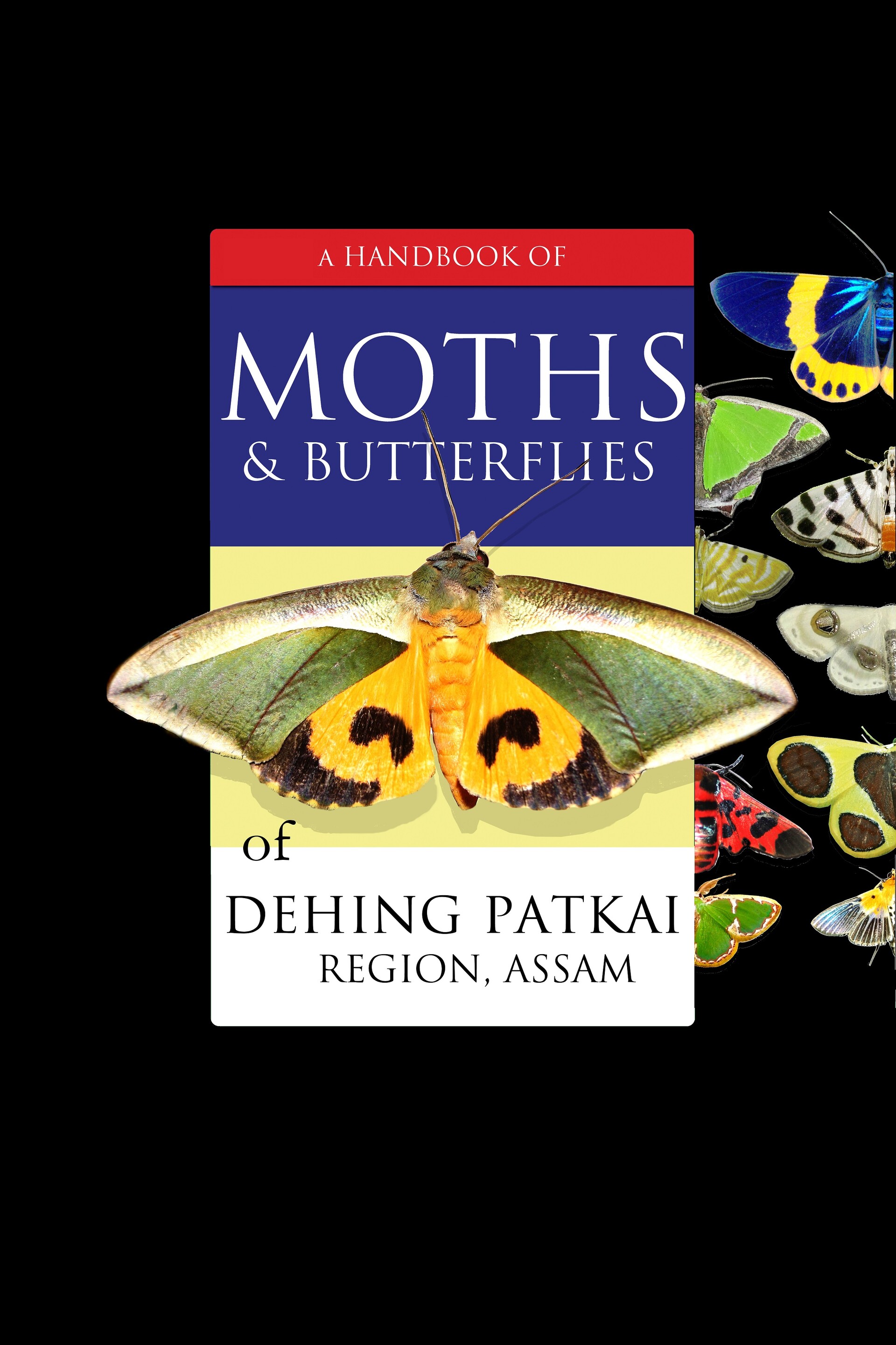 ArtStation - Moths and butterflies (book cover)