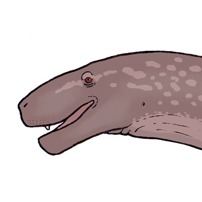 Thomas Sutton - PaleoArt