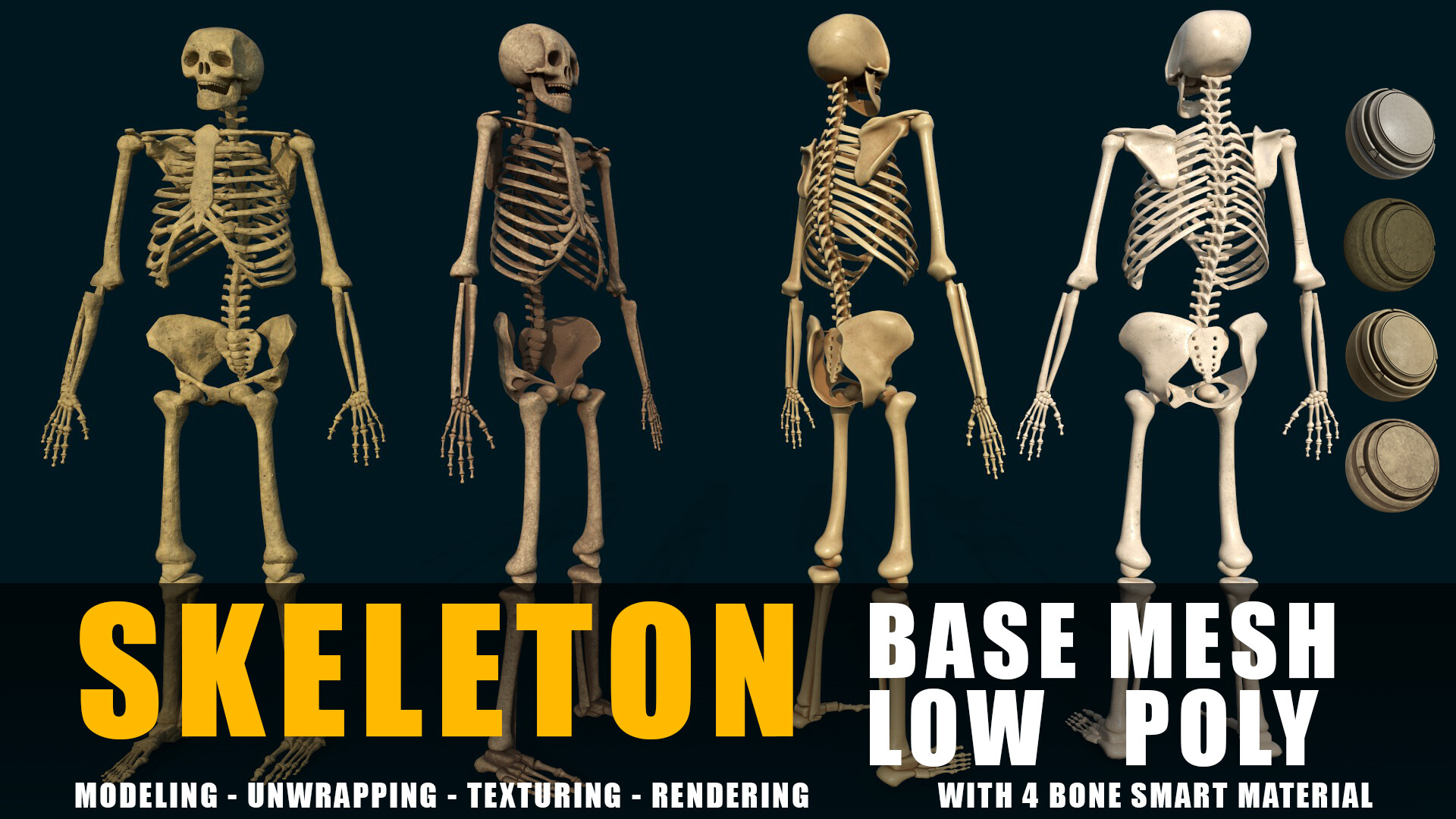 ArtStation - natomical High Quality low poly Human Skeleton base mesh ...