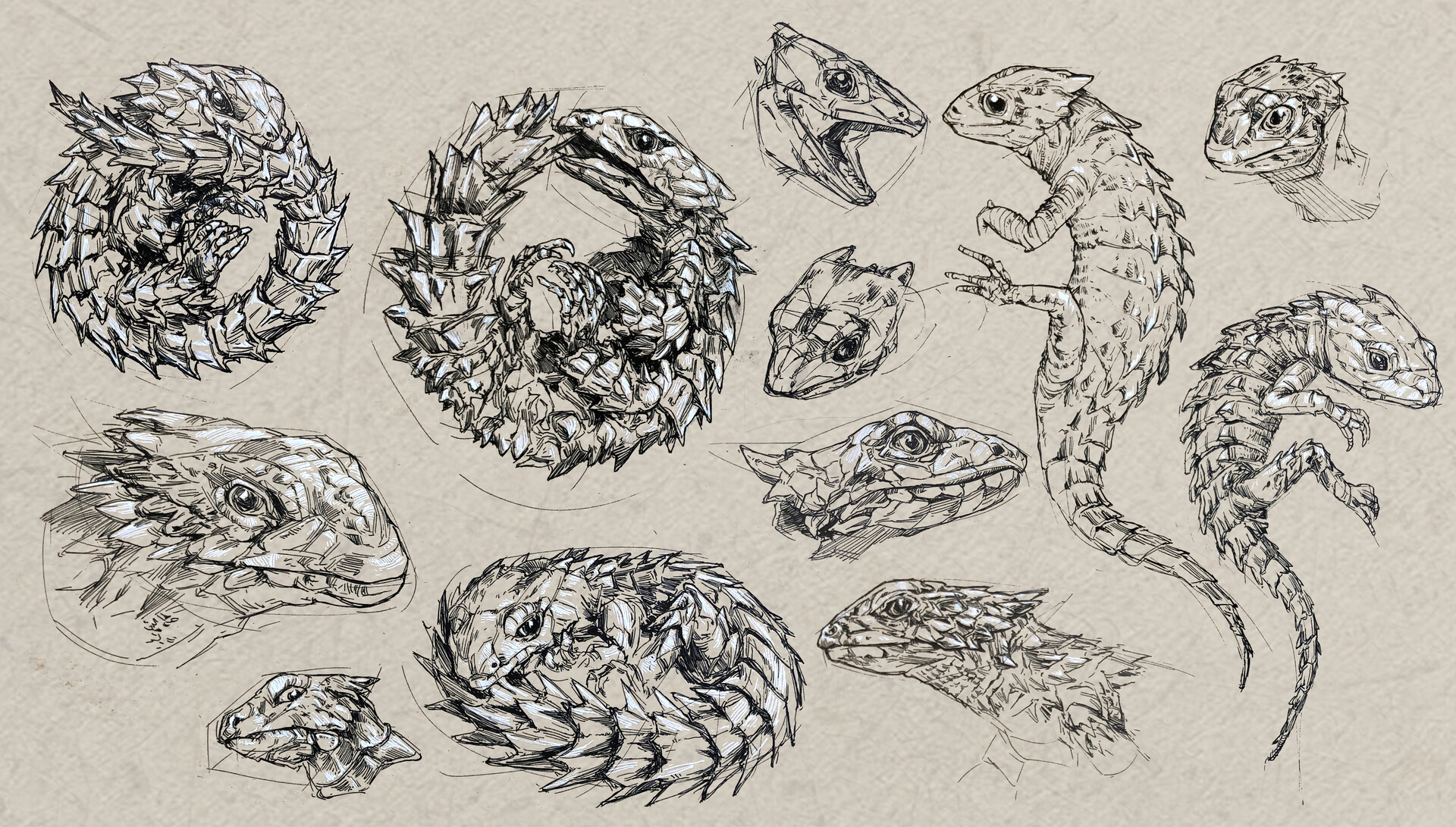 ArtStation - Reptile Studies