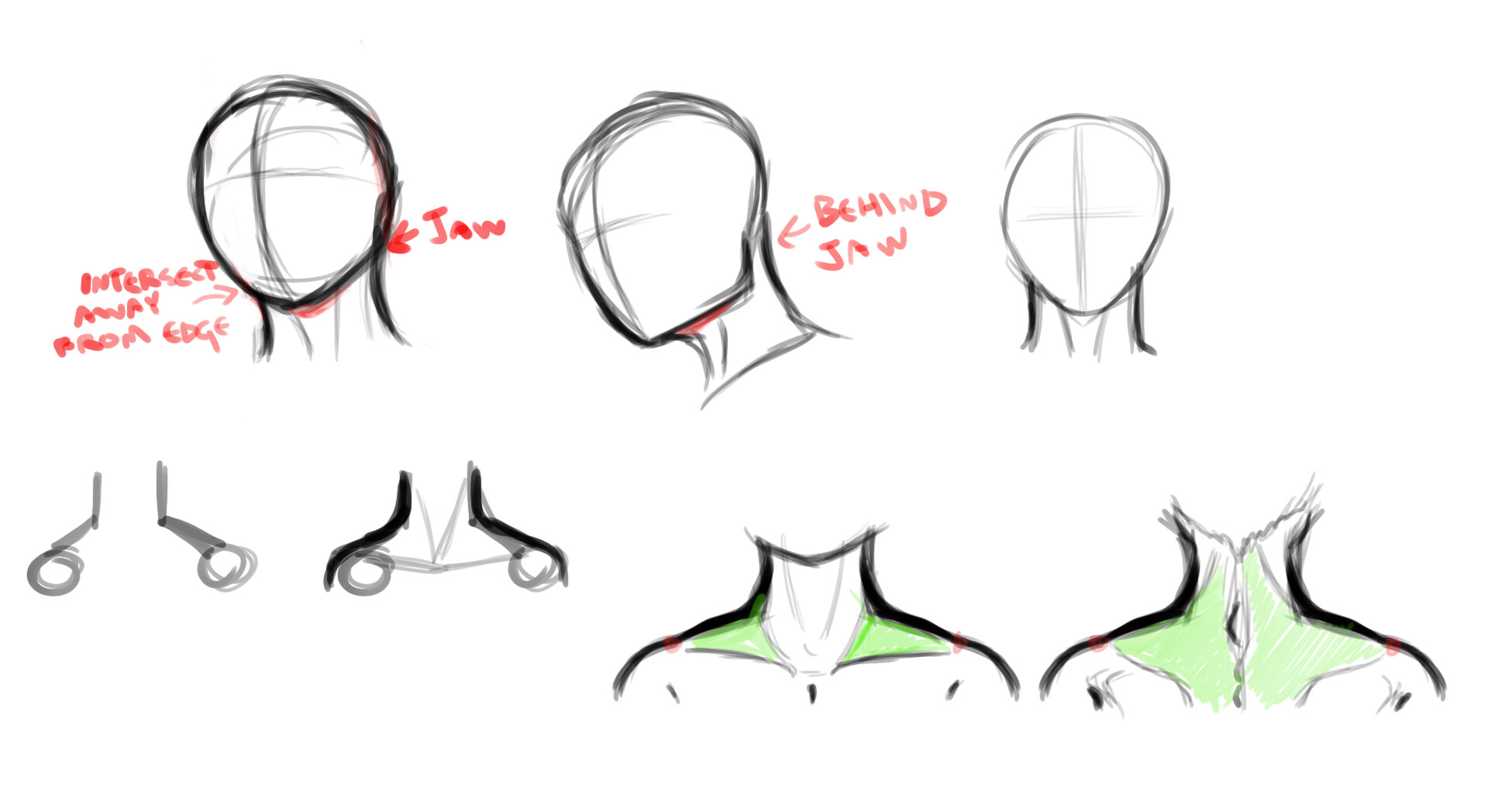 how to draw necks and shoulders