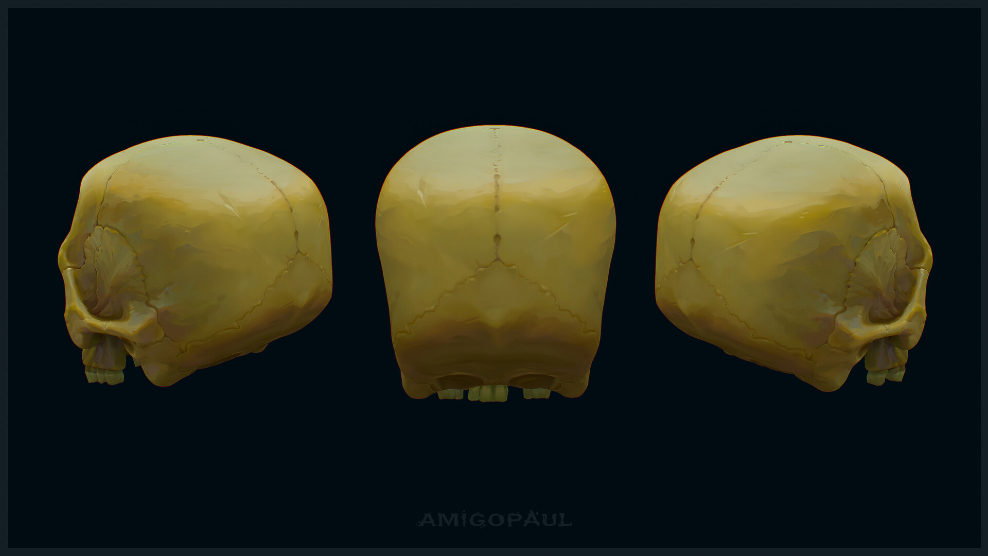 Amigopaul - Skull hand-painted