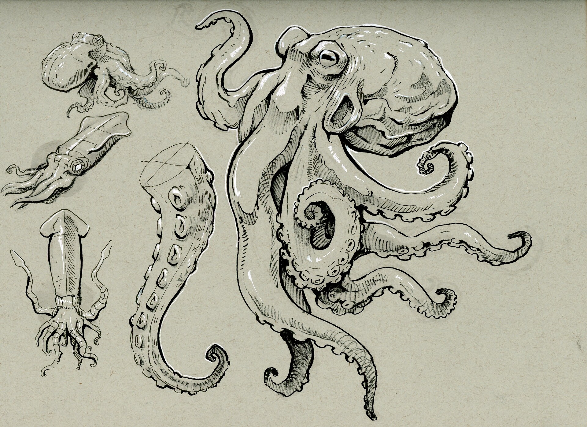 ArtStation - Octopus and fish - brush pens and microns
