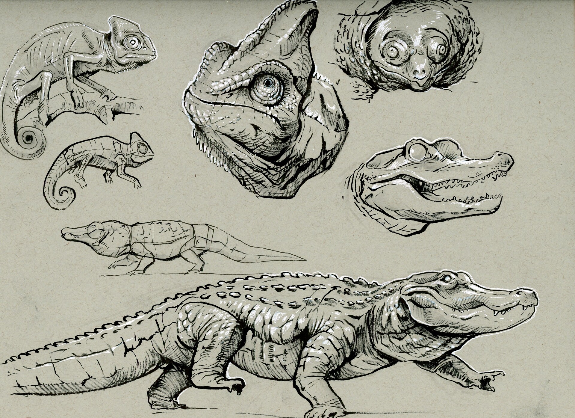 ArtStation - Reptiles, cattle and insects