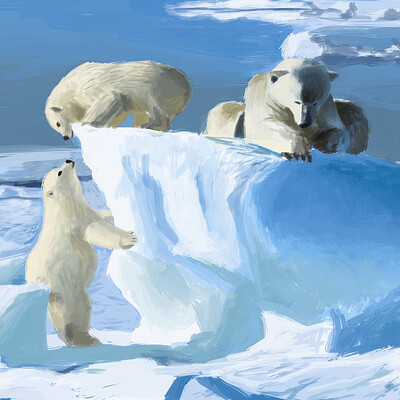 Philippine VANHOUTTE - Portfolio