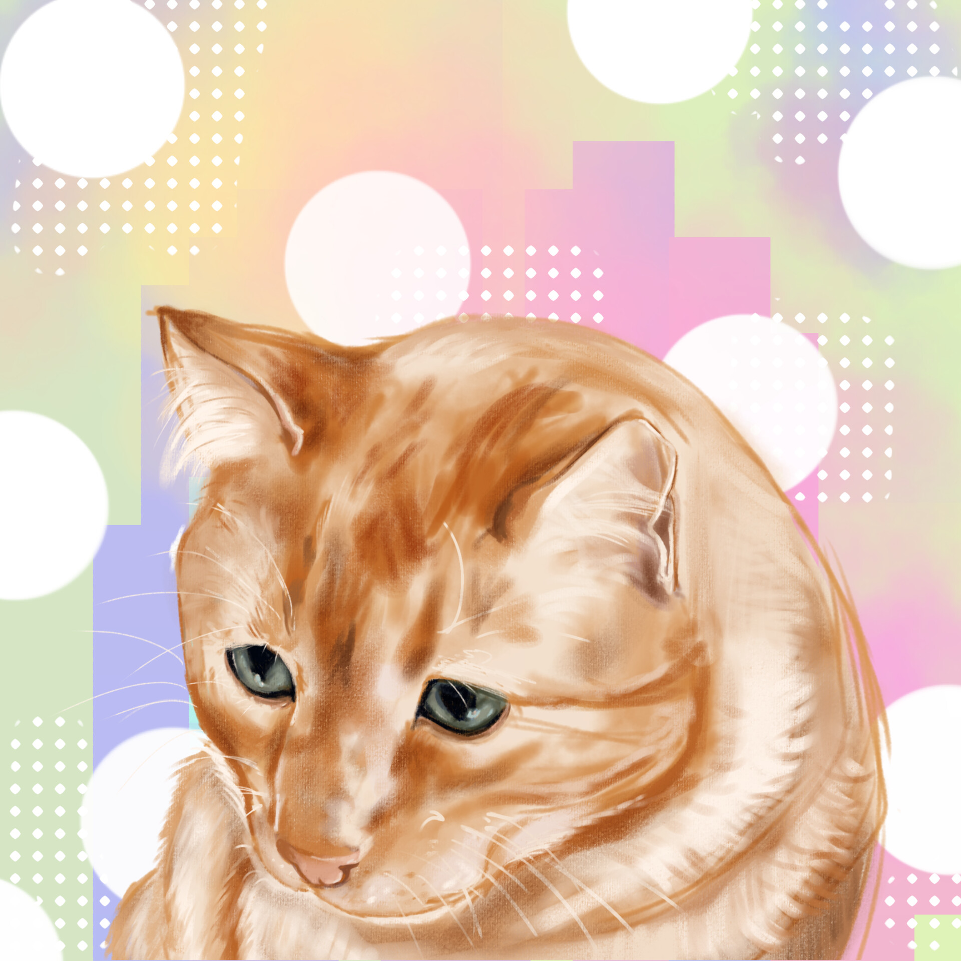 ArtStation - Oscar the cat