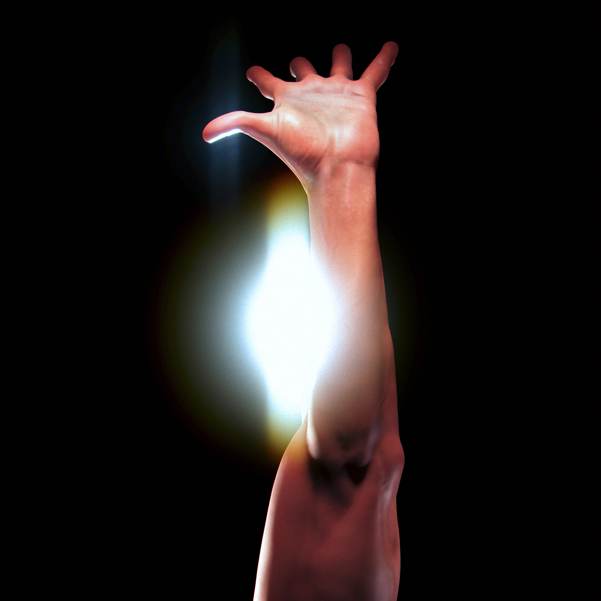 Guga Baraldi - Arm studies