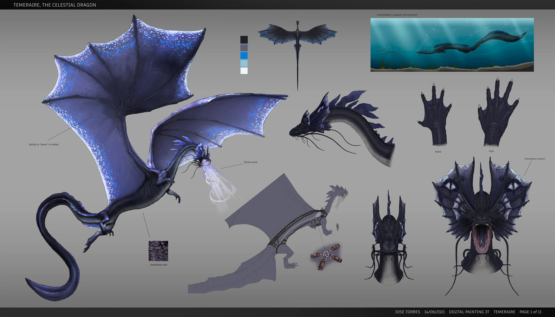 Celestial Dragon Temeraire