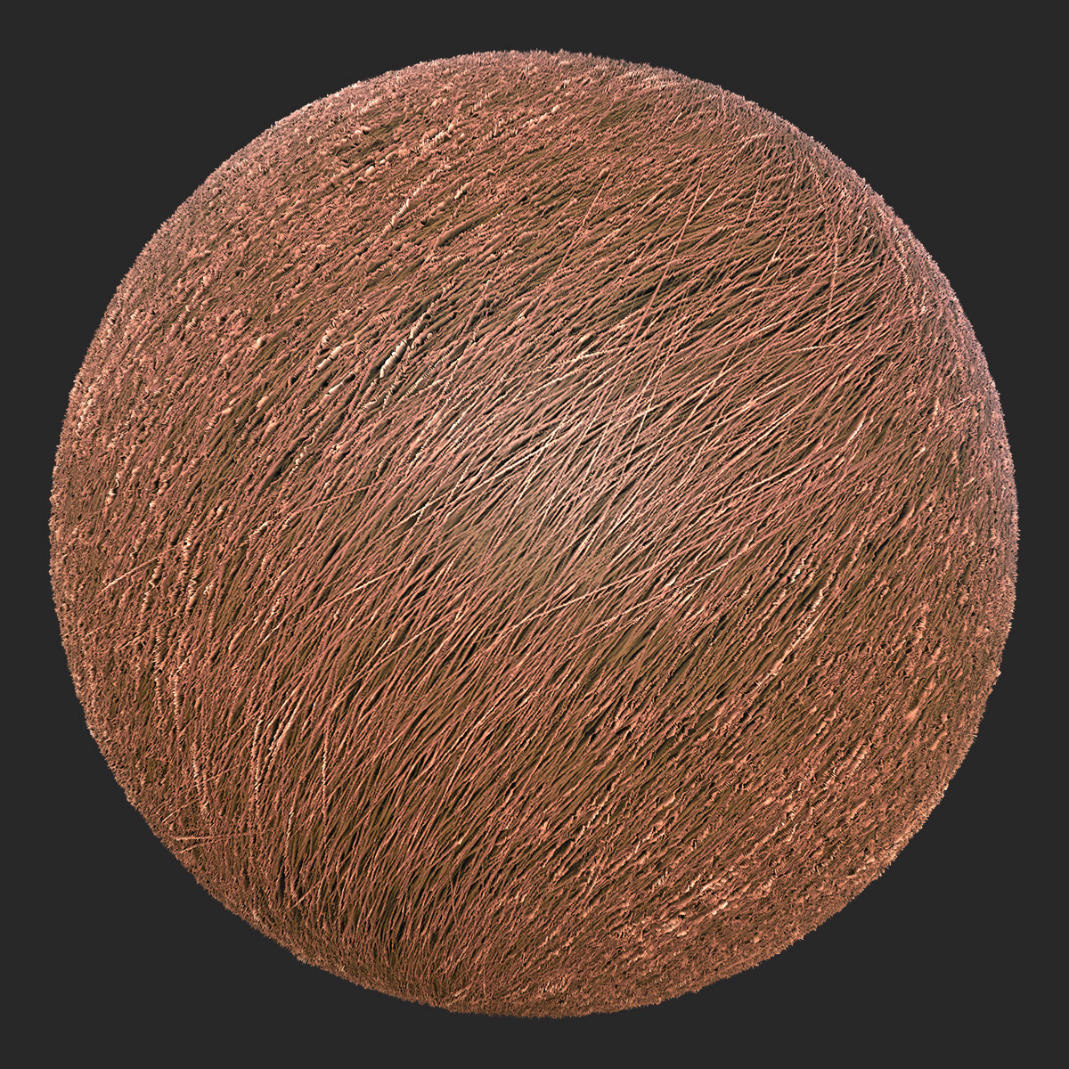 ArtStation - Fur Texture of Animals