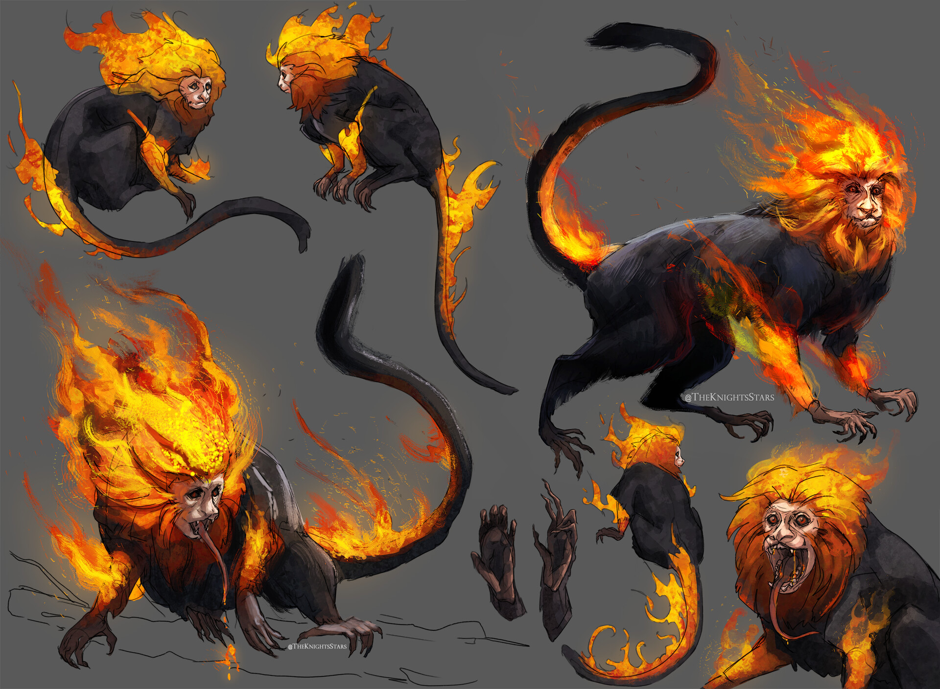ArtStation - Flamefur Tamarin Concept