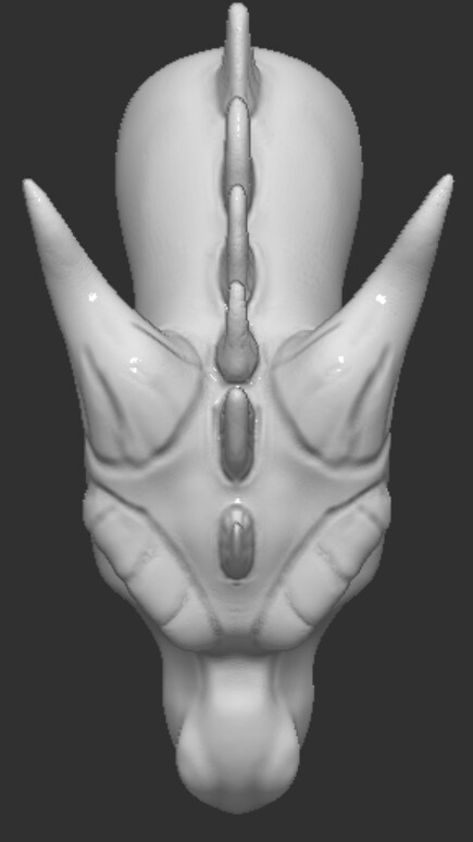 dragon head top down view