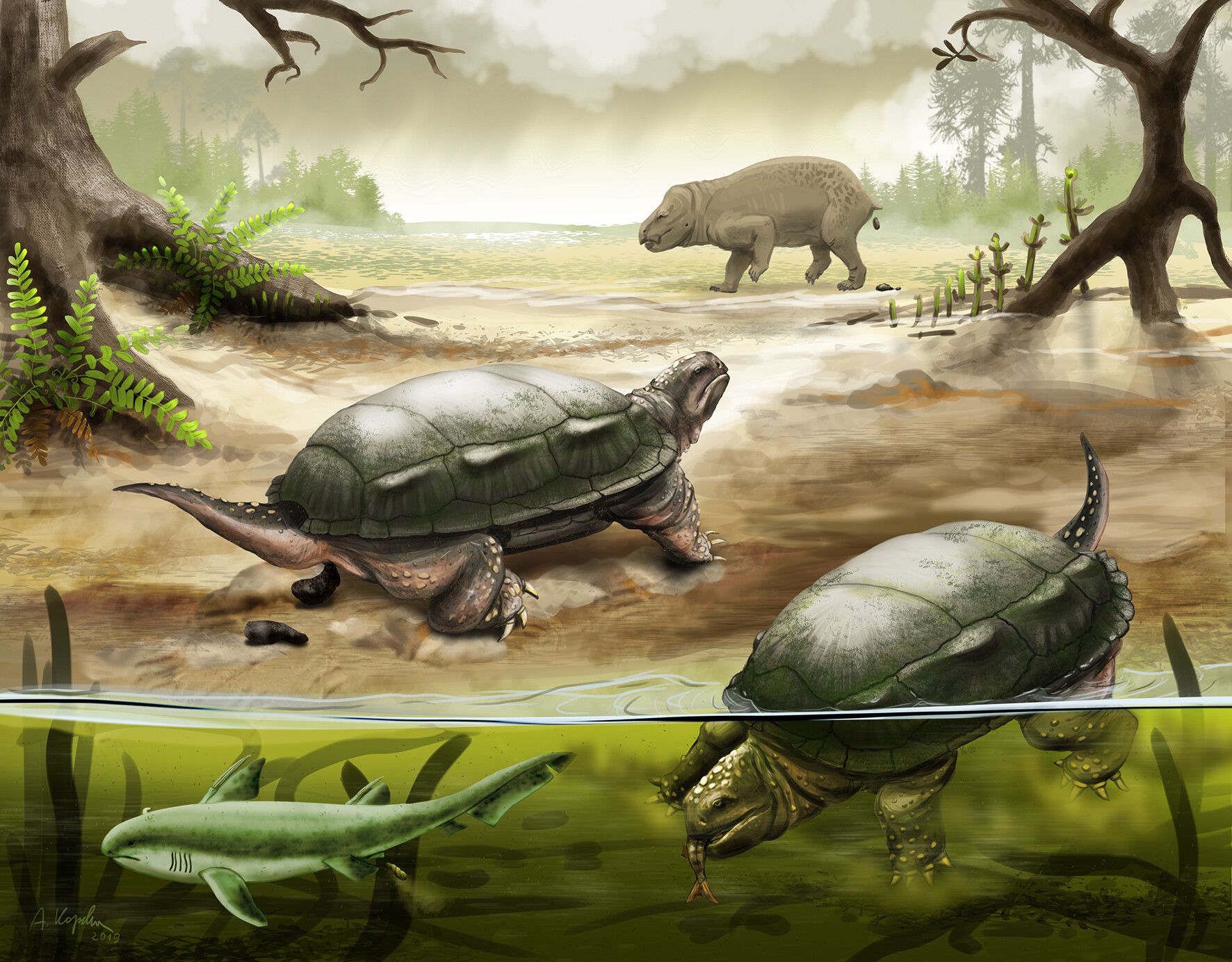 ArtStation - Triassic animals in Poręba