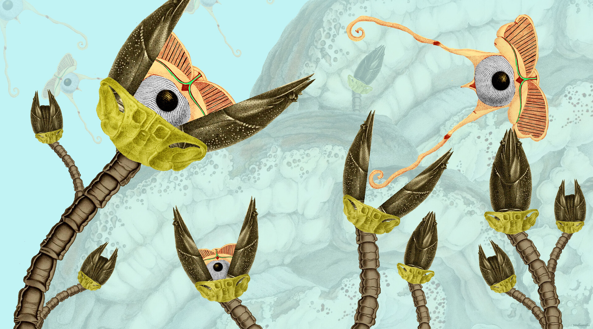 ArtStation - eye poppers