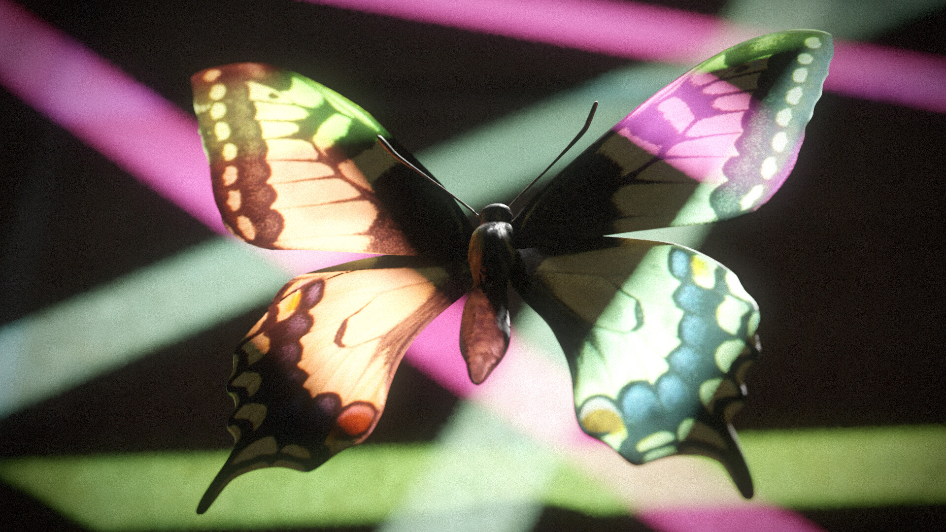 ArtStation - Dancing Butterfly