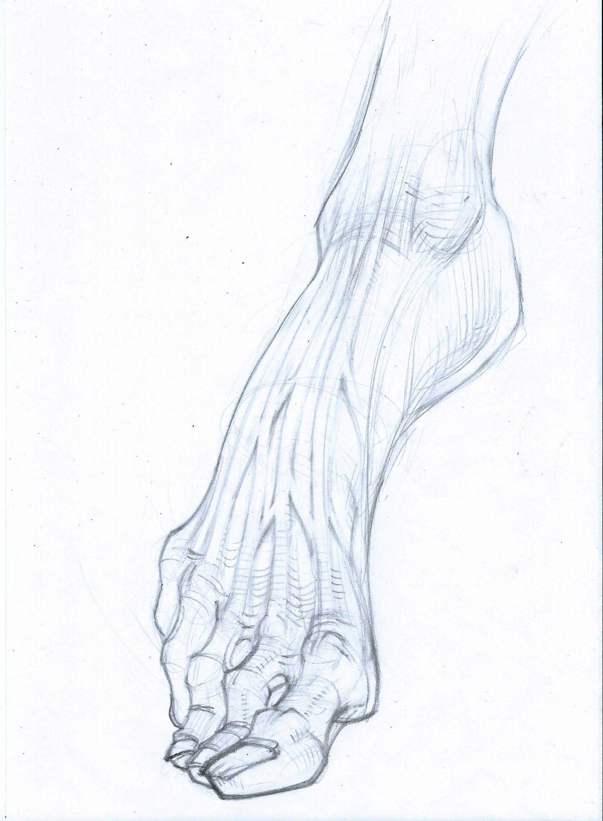 ArtStation - feet drawing