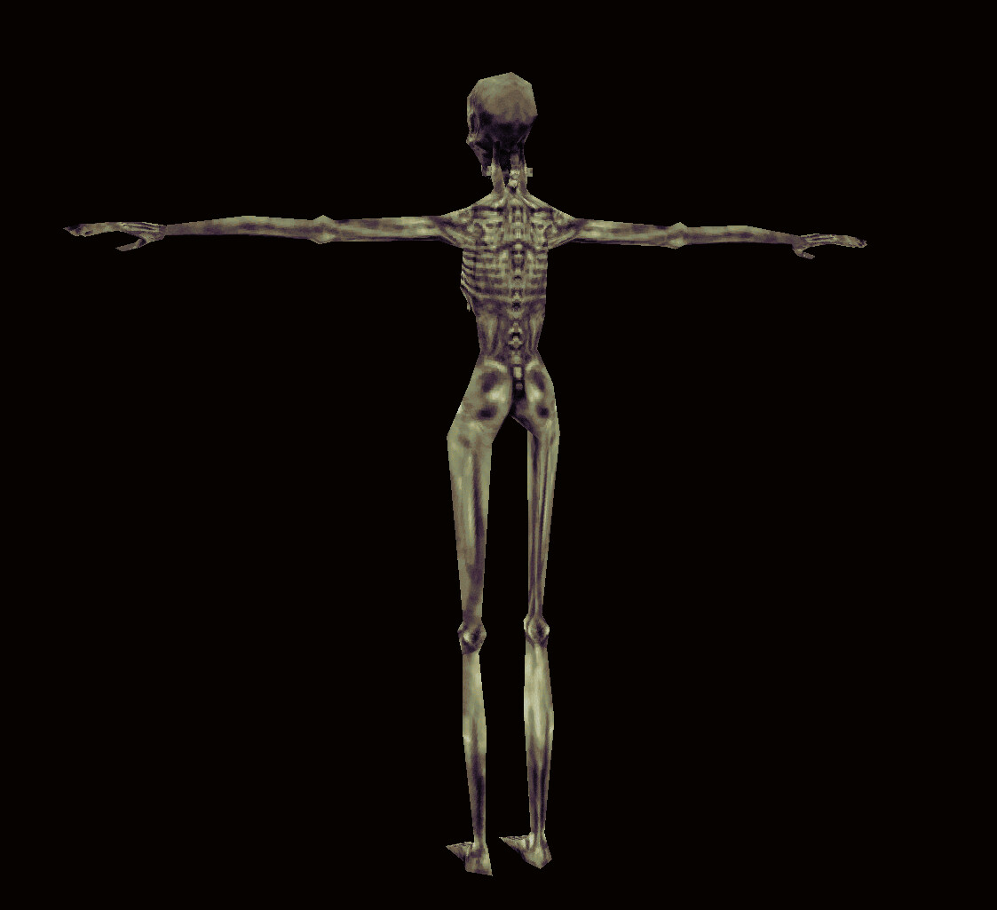 Heinn - Armored skeleton