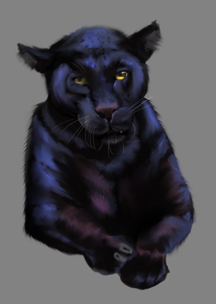 ArtStation - Animal Studies 1