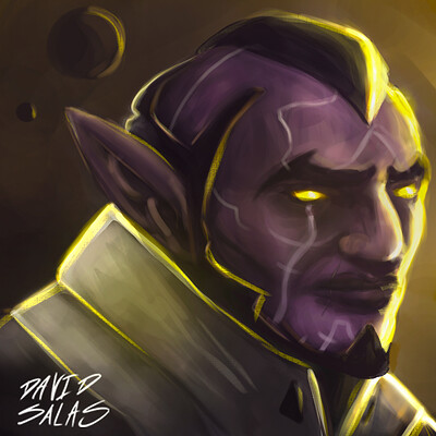 David Salas Bolaños - Portfolio