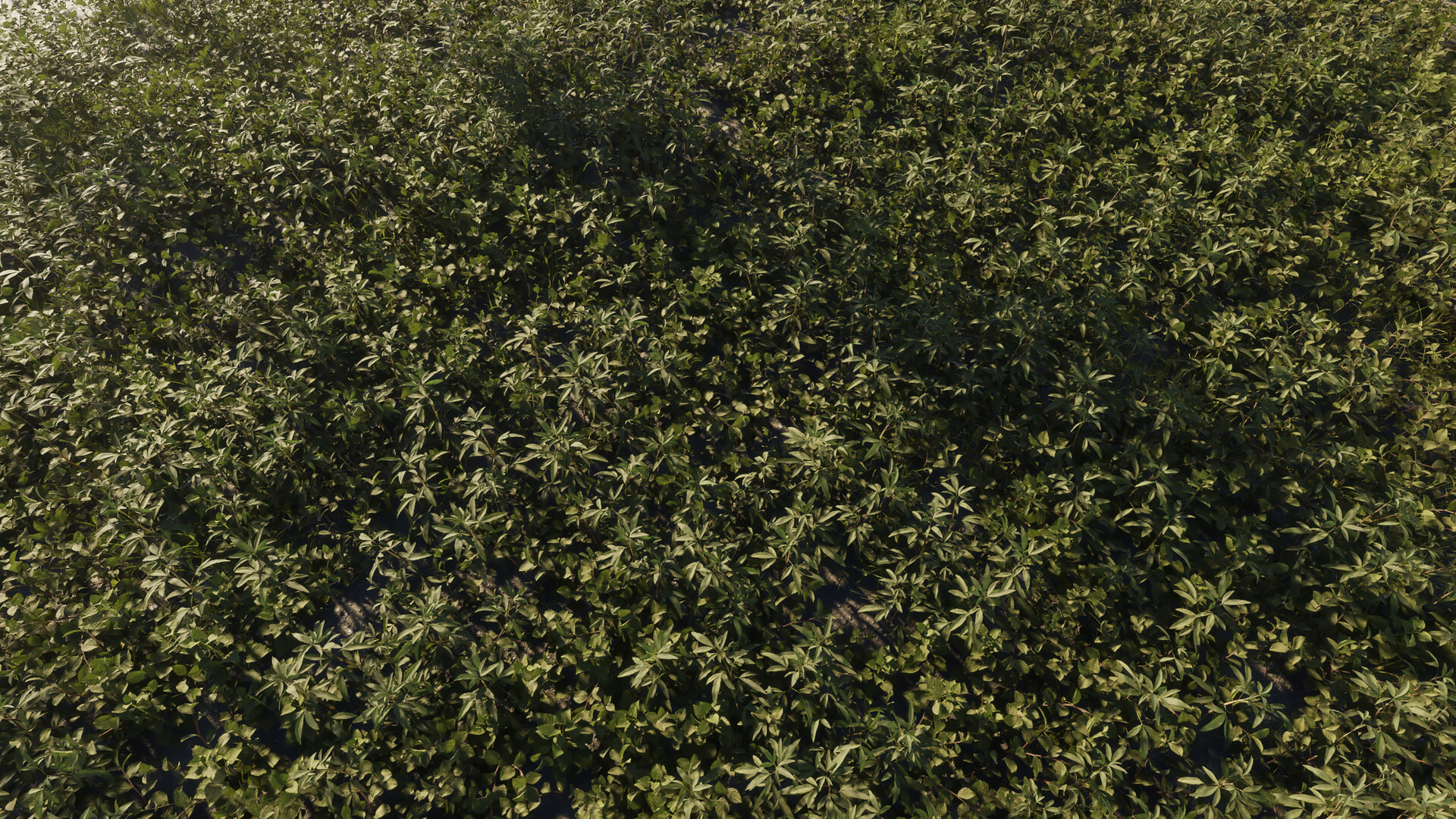 ArtStation - Ground Foliage - Unity HDRP