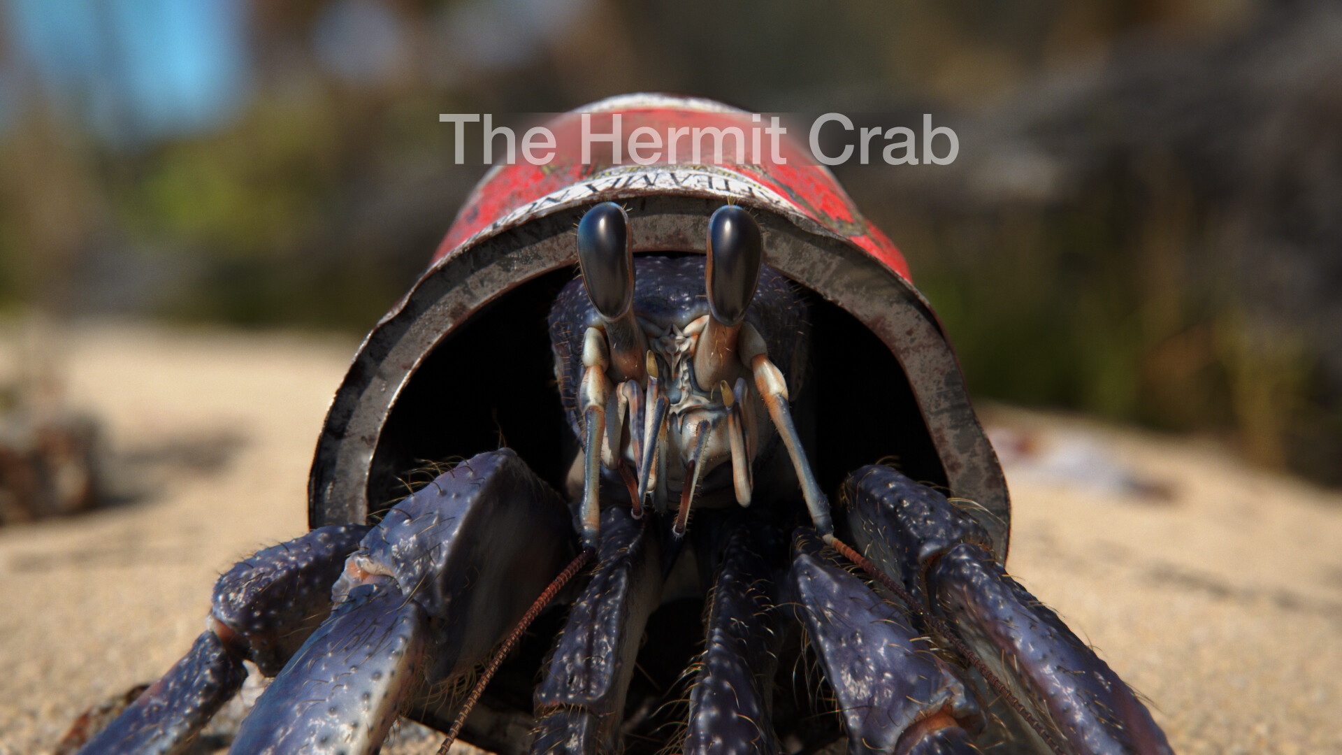 ArtStation - The Hermit Crab