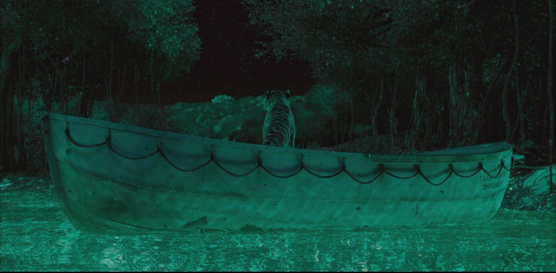 Cheri Fojtik - Life of Pi