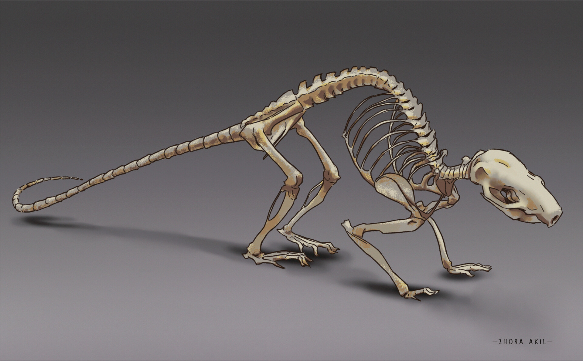 ArtStation - Skin and Bones