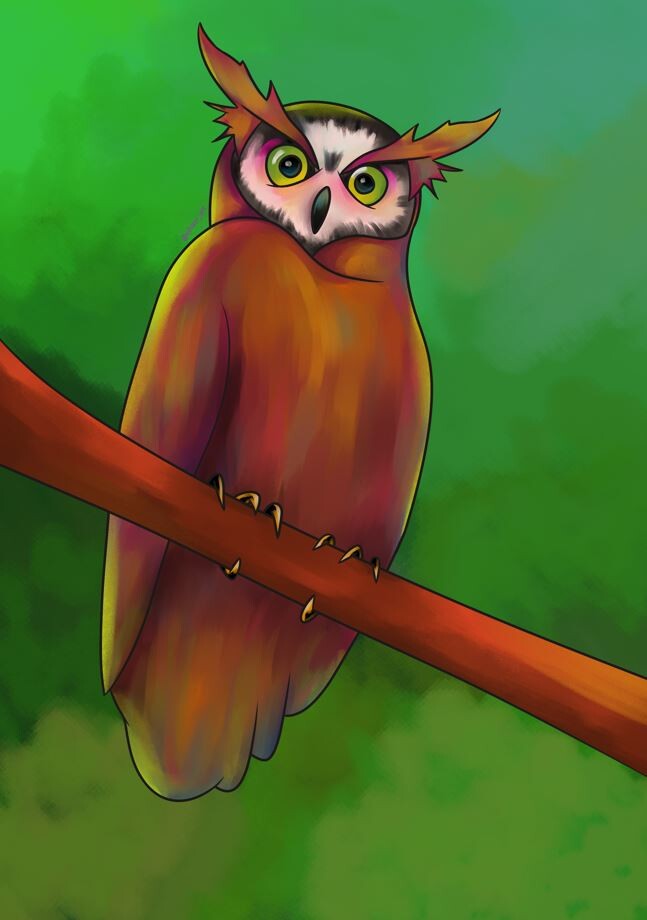 ArtStation - Búho