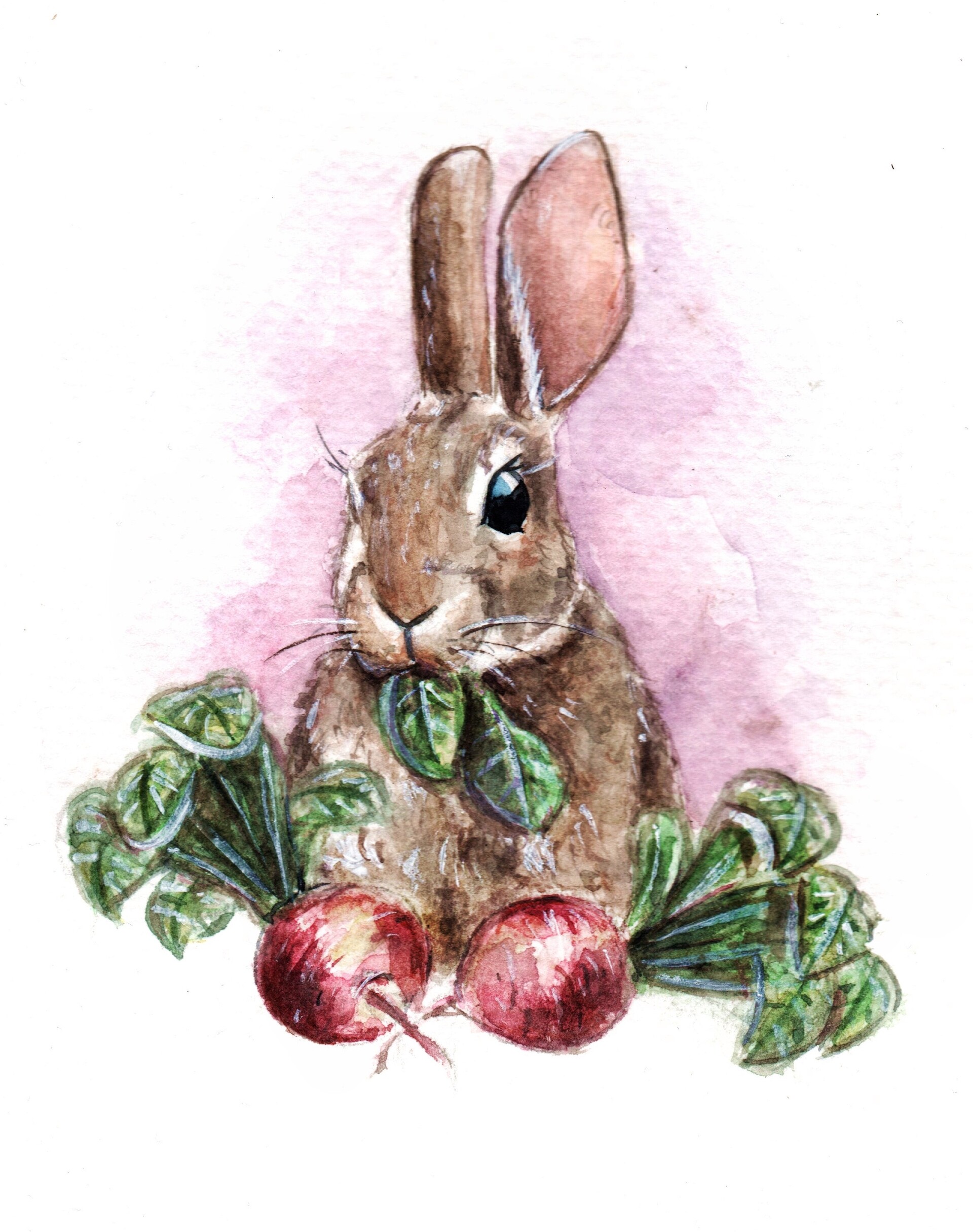 ArtStation - bunny designs