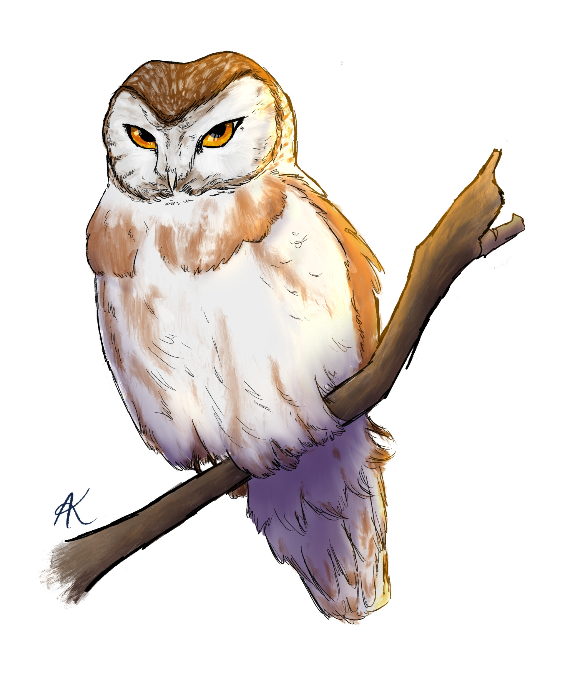 Alexa Kripli - Orange Eyed Owl