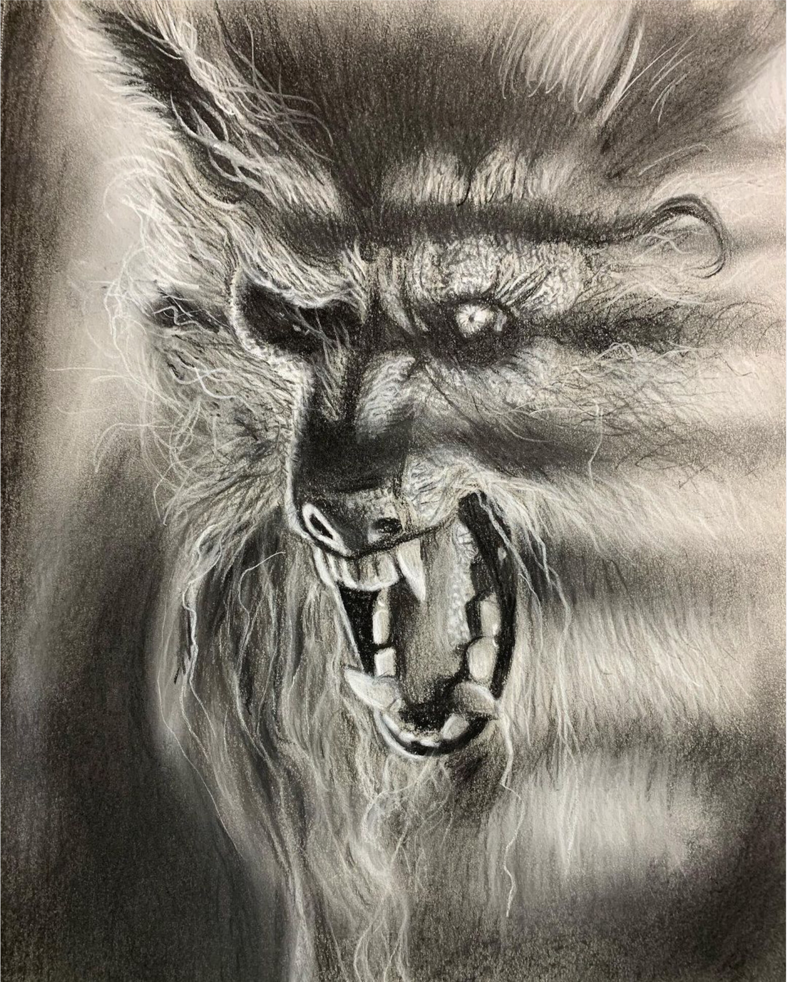 Angry Werewolf Drawings In Pencil