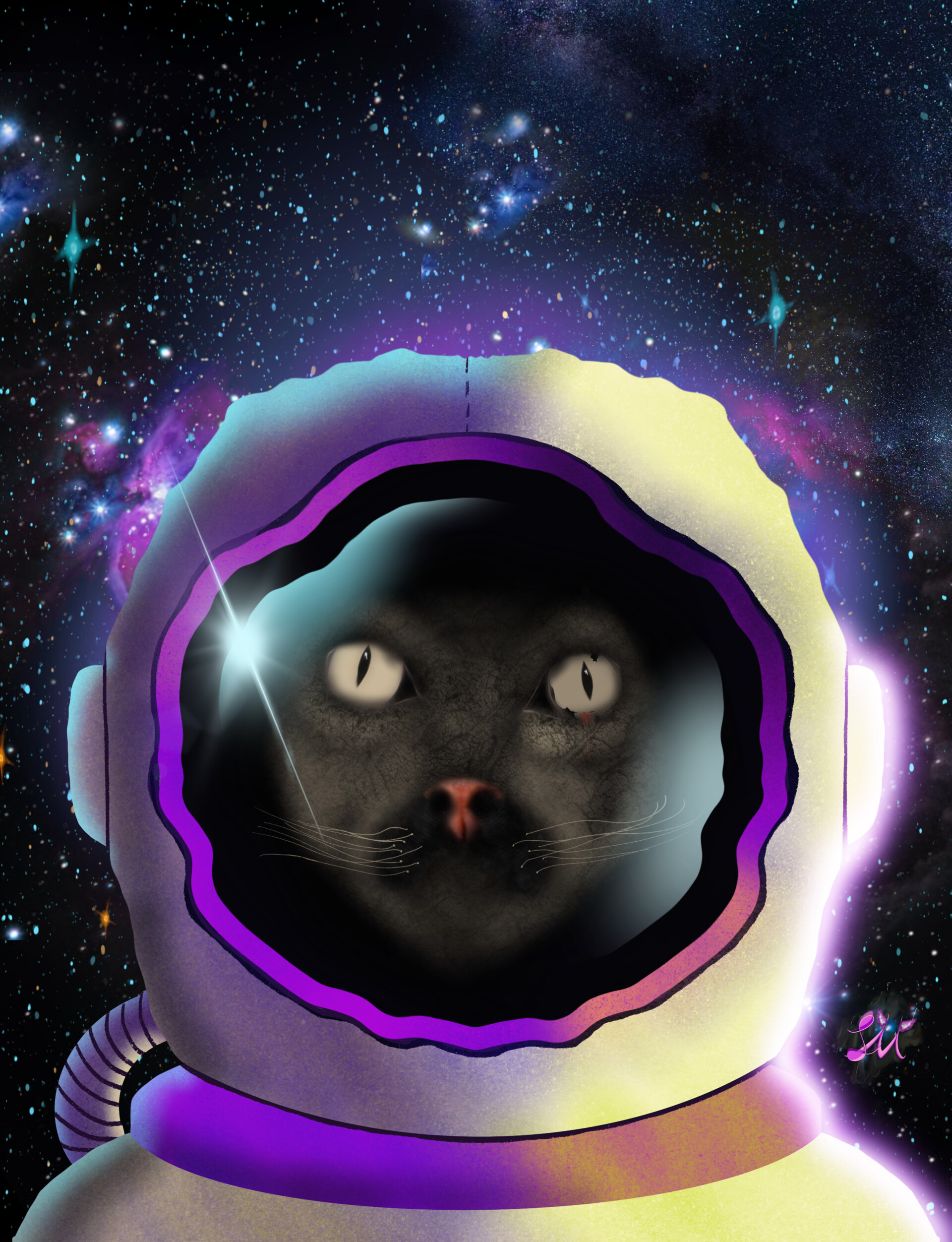 ArtStation - Astro Kitty