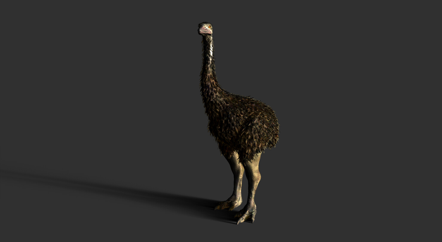 ArtStation - Elephant bird (updated with better feathers)