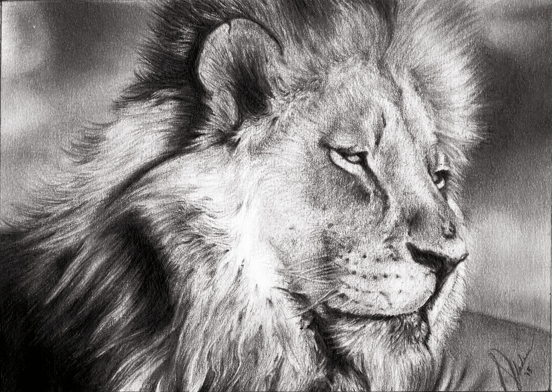 Ernesto Palma - Refleciton of Godliness