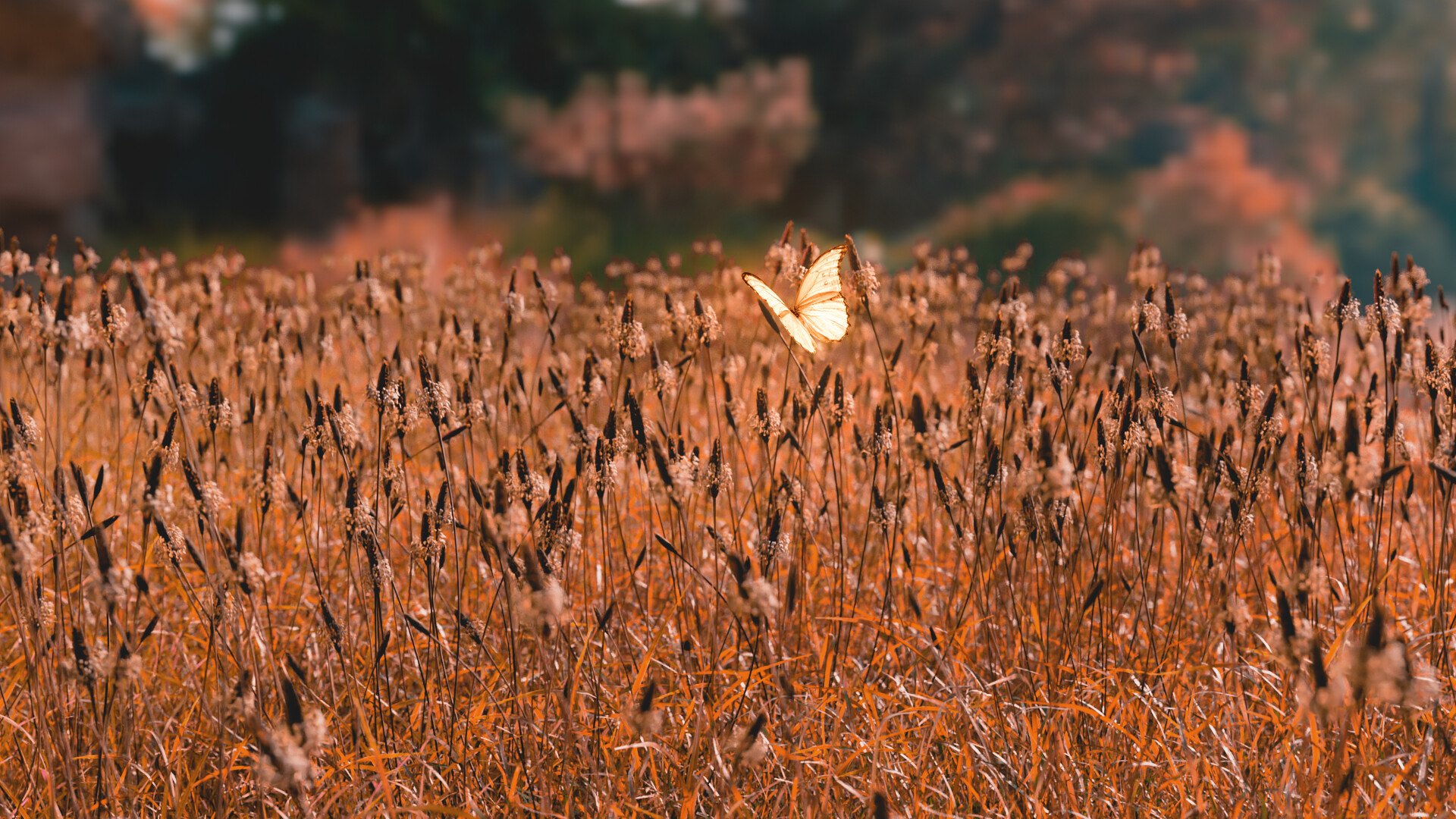 ArtStation - Environment blender