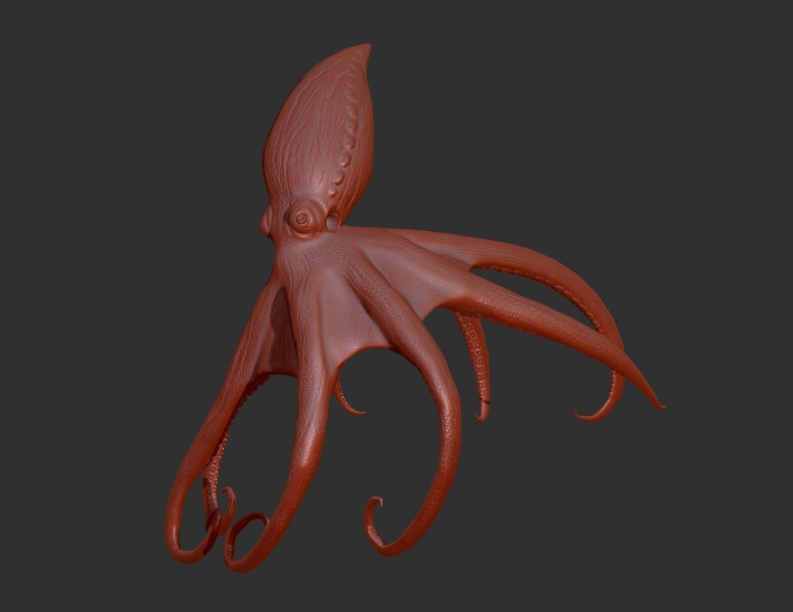 ArtStation - Octopus 3D Model