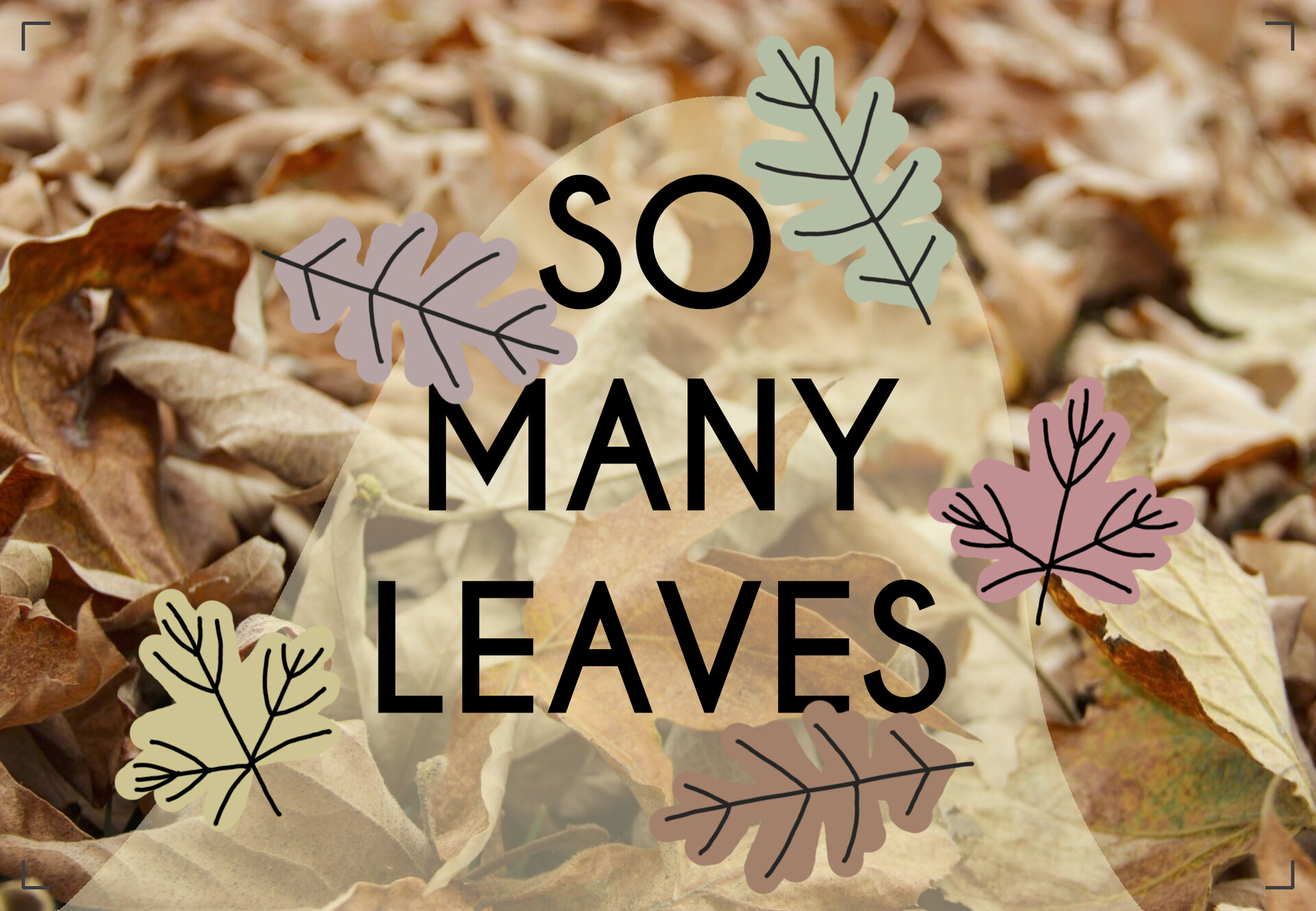 ArtStation - So Many Leaves postcard for SO