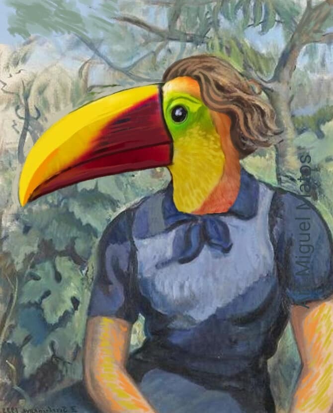 Miguel Matos Official - Os Pássaros e a História da Arte