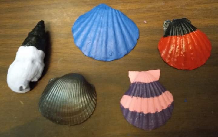 ArtStation - More seashell art