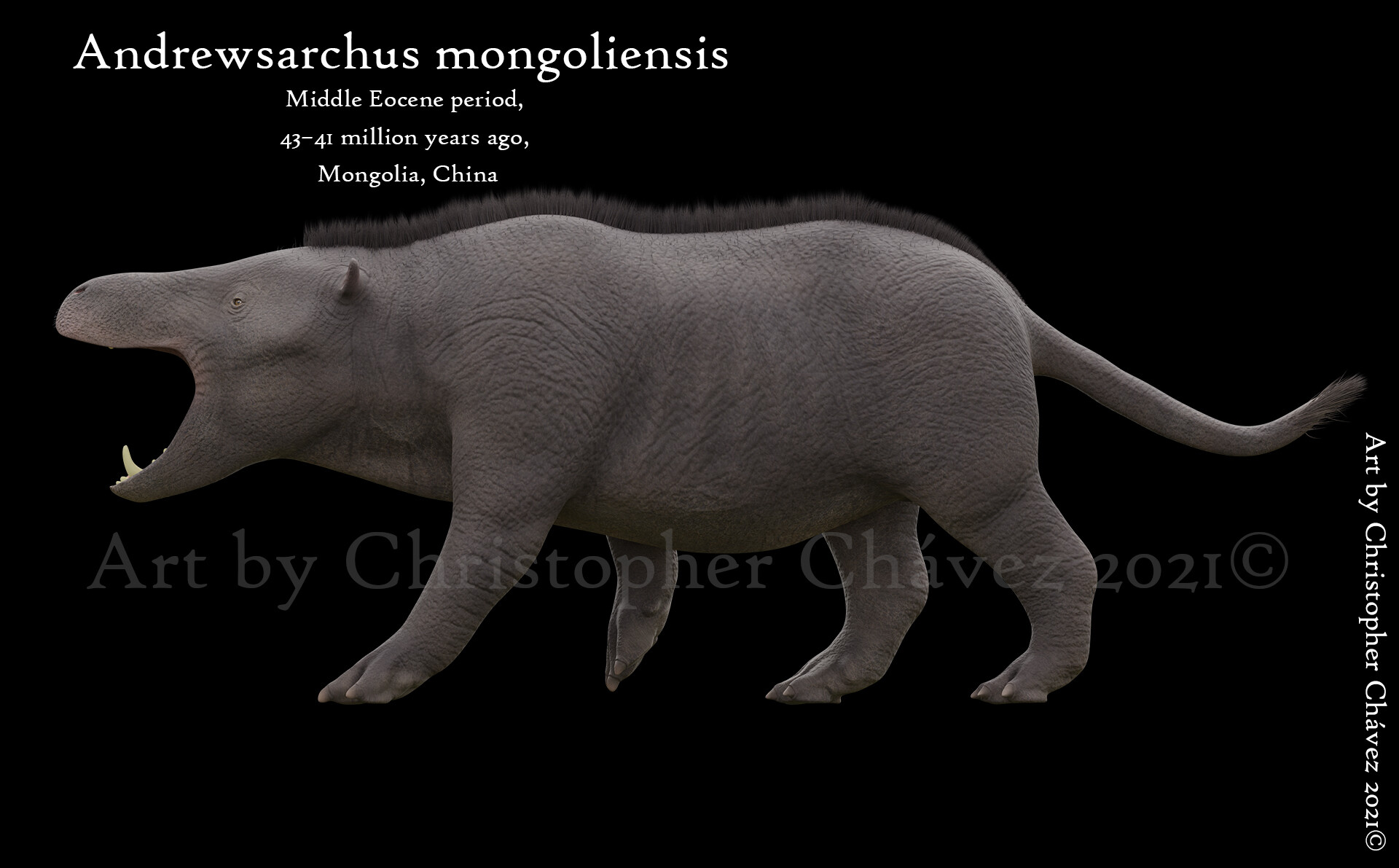 andrewsarchus skeleton