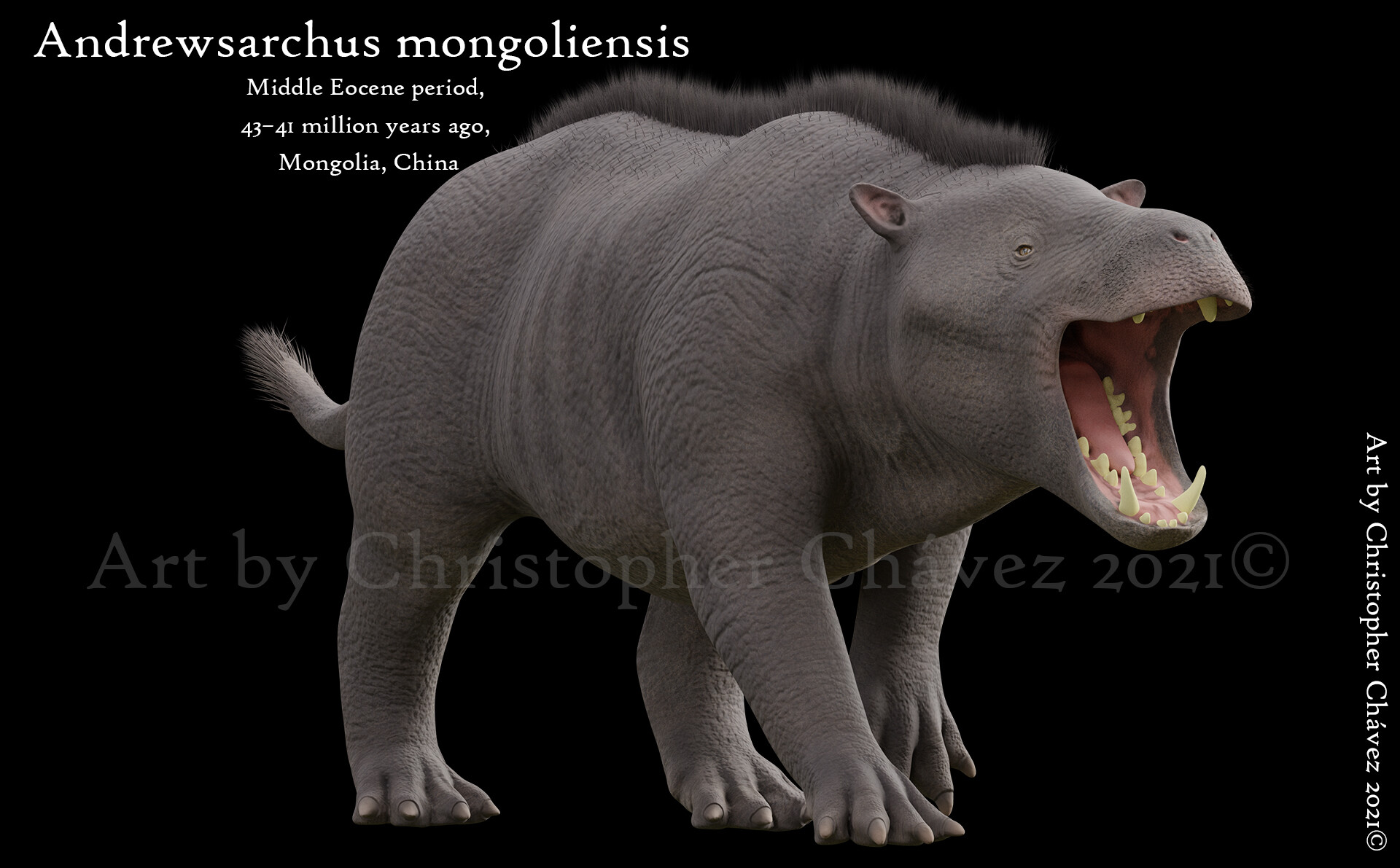 Andrewsarchus Skeleton