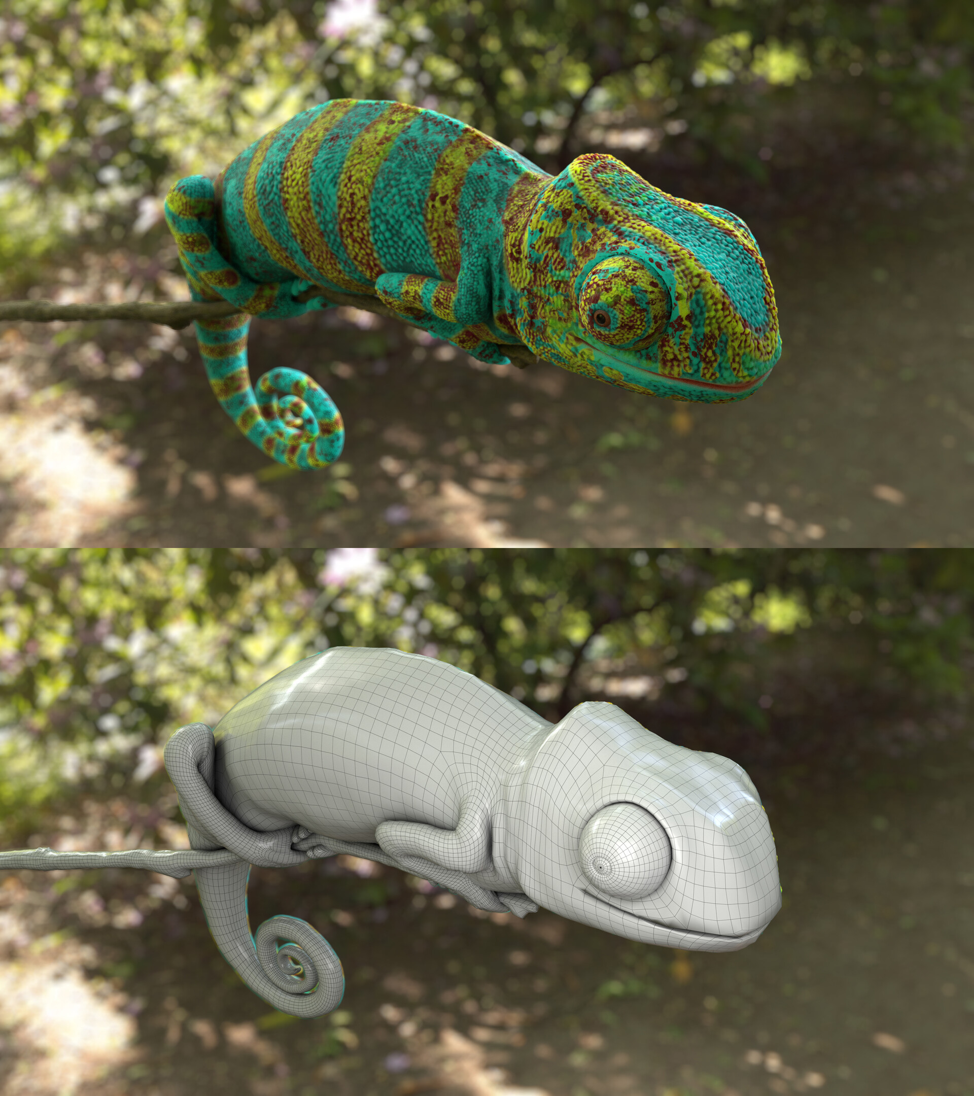 ArtStation - Chameleon