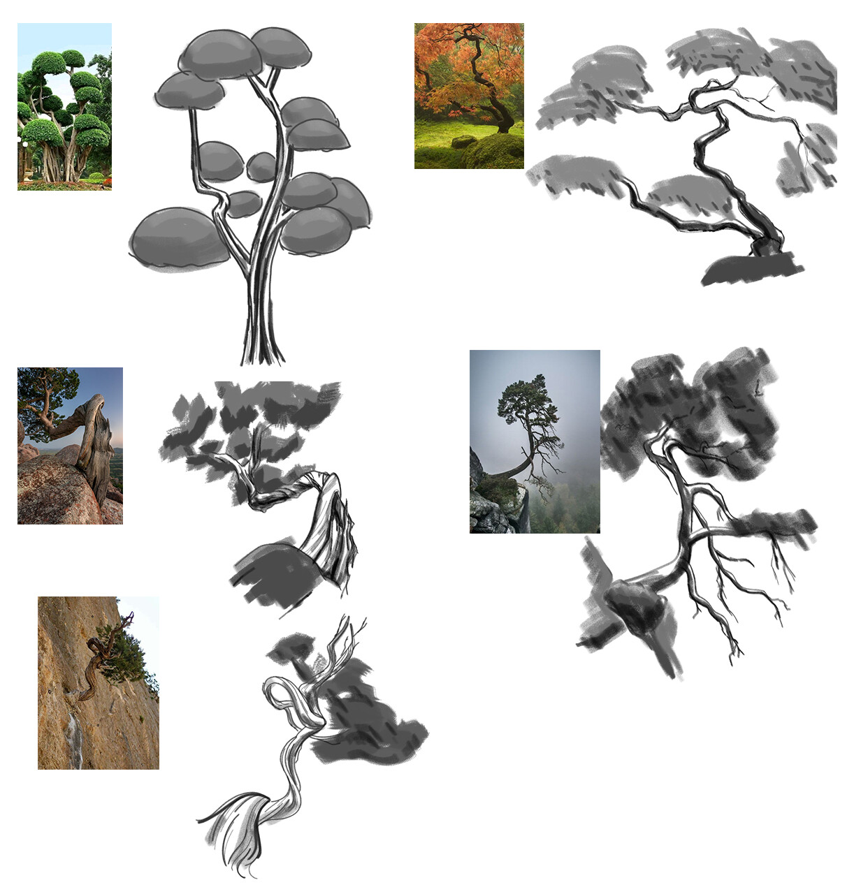 ArtStation - Tree Studies