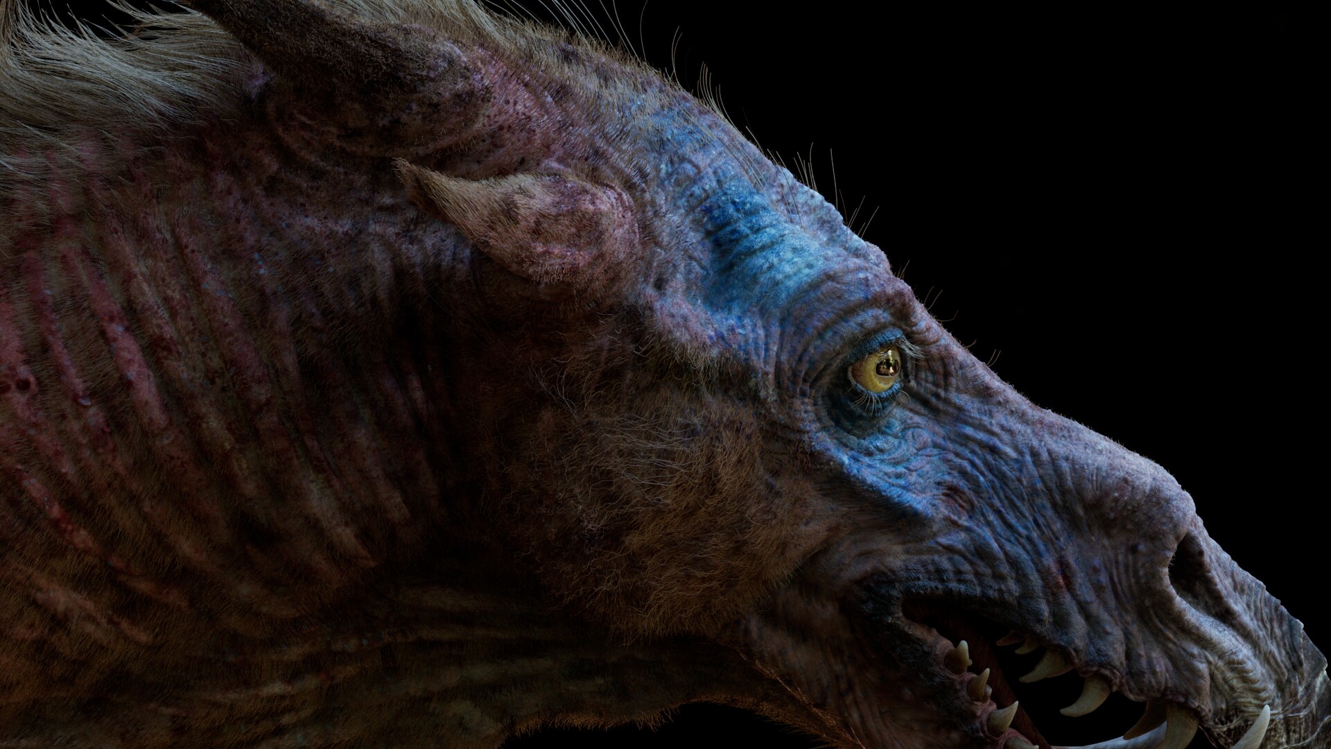 Greg Strangis - Queen Griffin for Em & Selma go Griffin Hunting