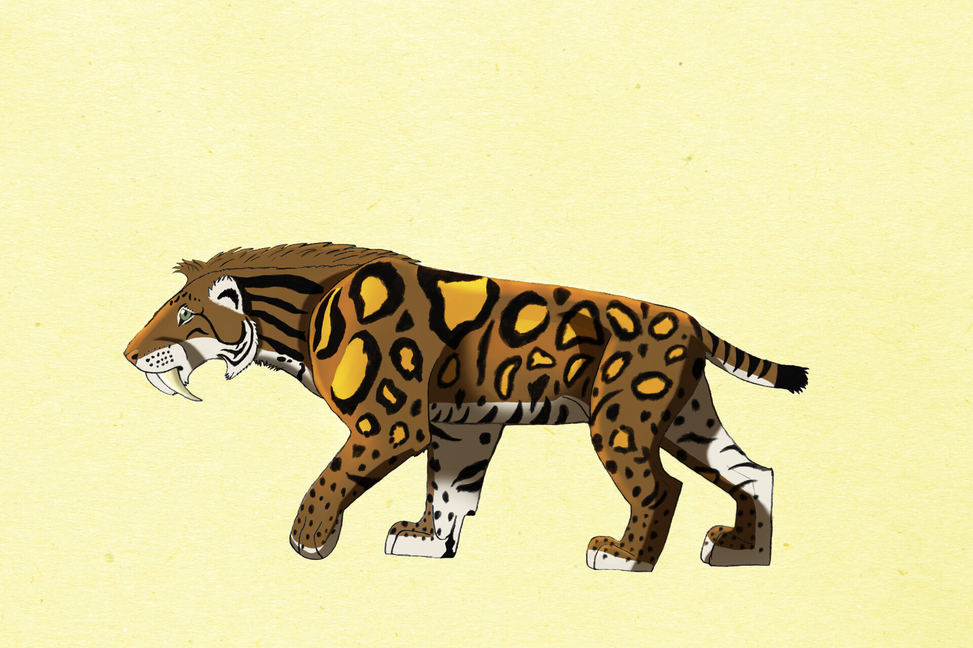 Saber Tooth Cat Drawing