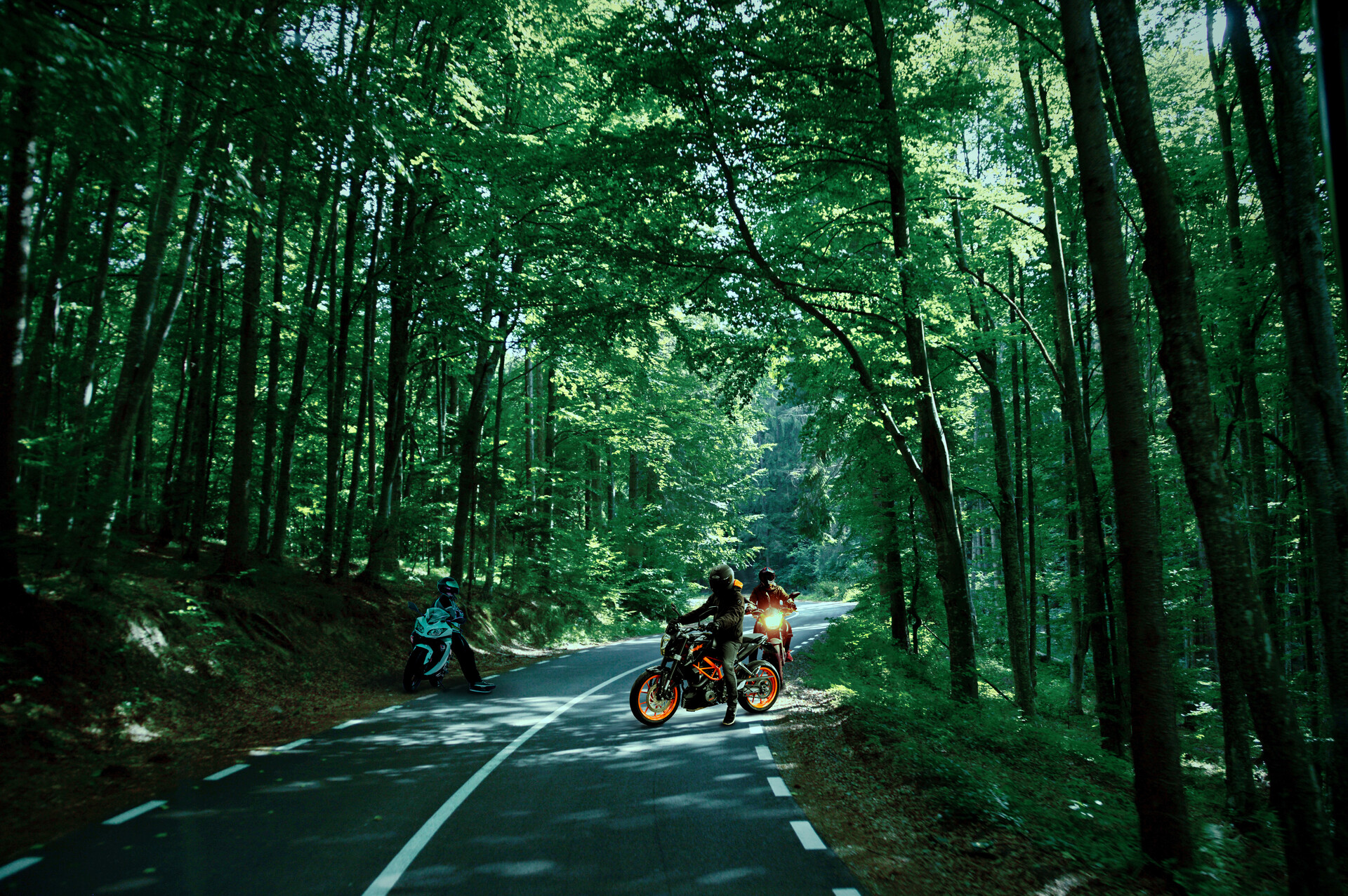 ArtStation - Forest Adventure Matte painting