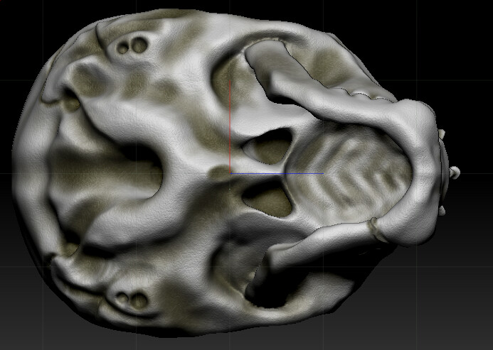 Riley Wood - October 8th, Creature Skull