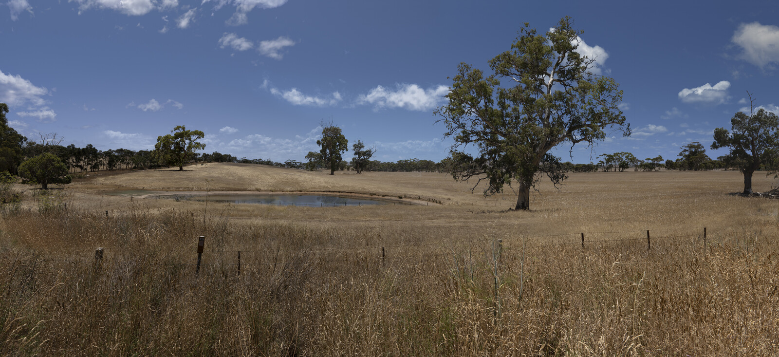 mark trahan - rural pond