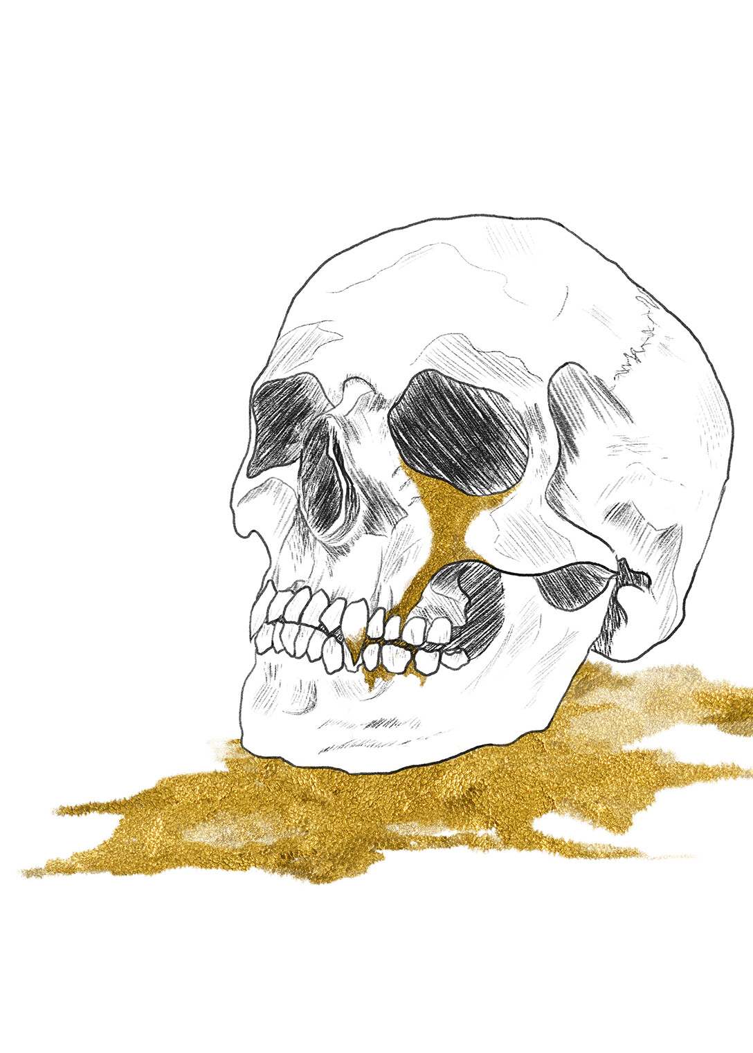 vampire skull drawing