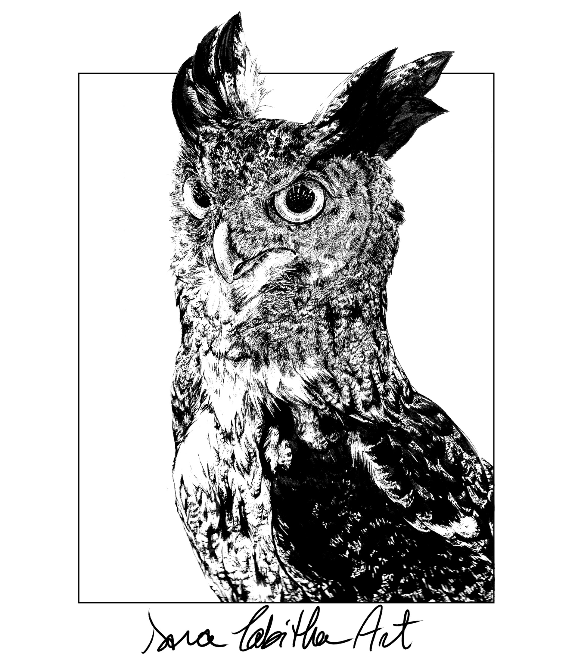 ArtStation - Horned Owl Ink Portrait